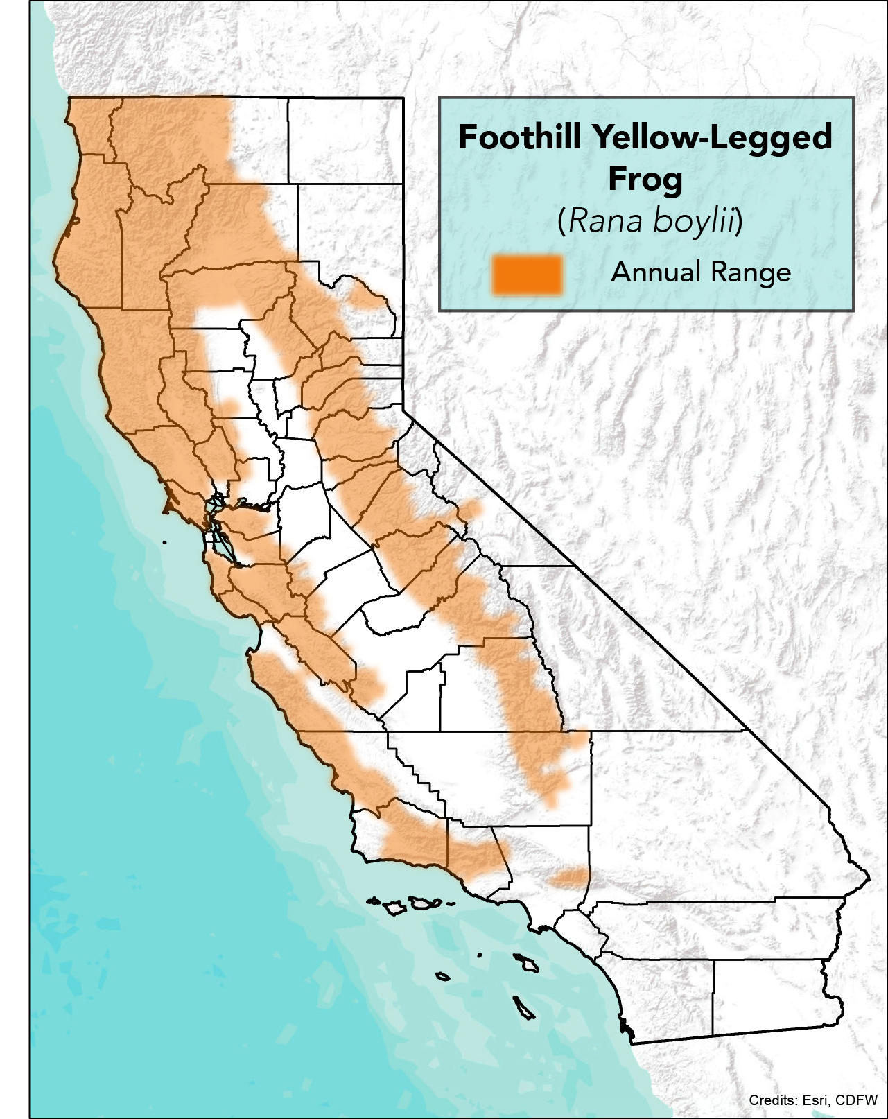 Eric C. HansenSpecies Background - Eric C. Hansen